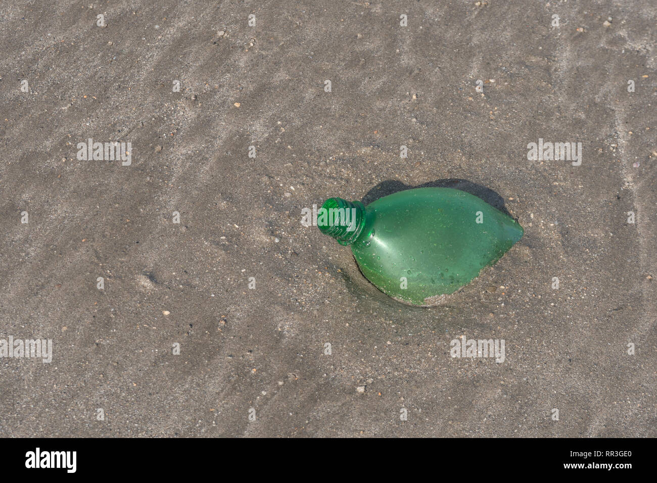 Empty plastic soft drink bottle embedded in silty beach sand. For ...