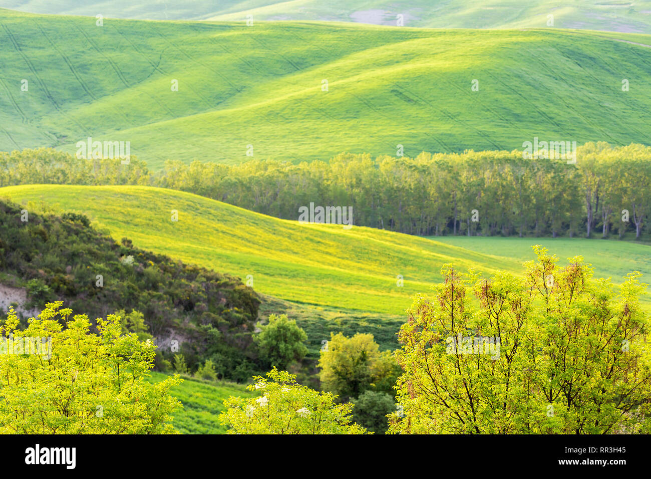 Rolling landscape with fields and trees Stock Photo - Alamy