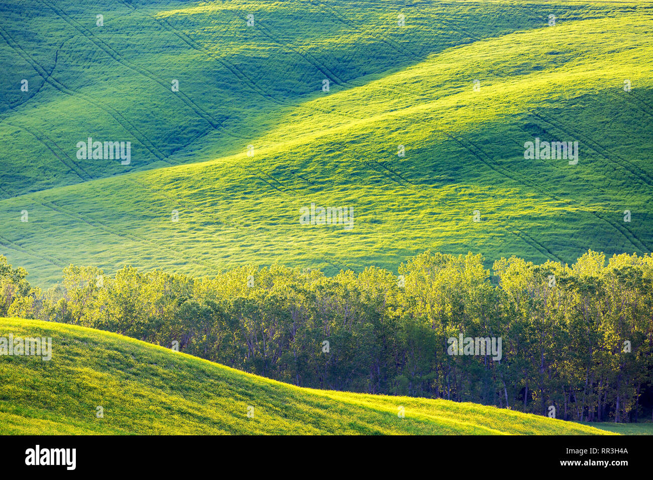 Rolling fields in landscaped countryside Stock Photo - Alamy
