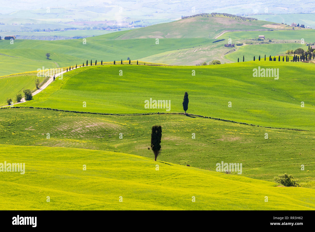Rolling fields in a rural Italian landscape Stock Photo - Alamy
