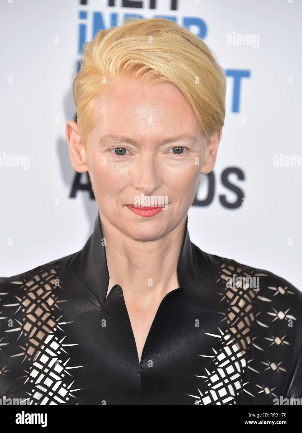 SANTA MONICA, CA - FEBRUARY 23: Tilda Swinton attends the 2019 Film ...