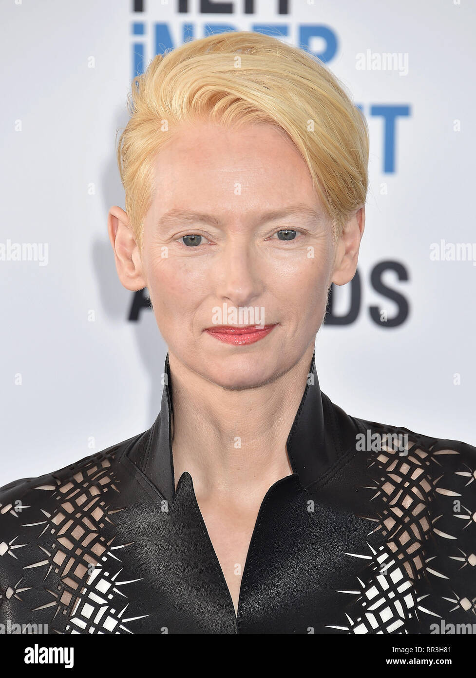 SANTA MONICA, CA - FEBRUARY 23: Tilda Swinton attends the 2019 Film ...