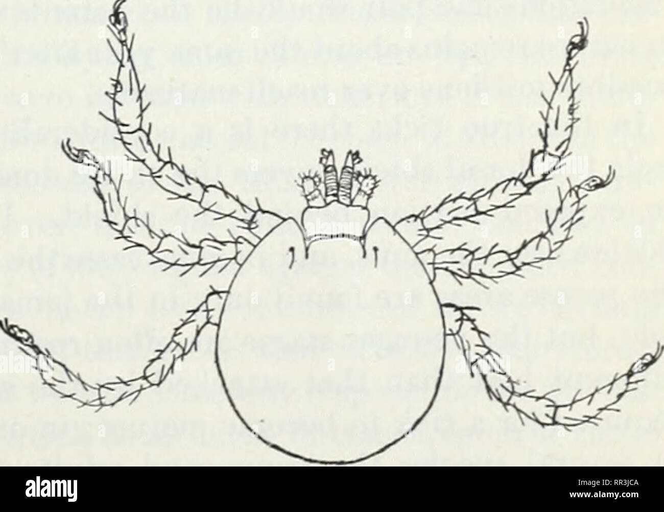 20 bulges hi-res stock photography and images - Alamy