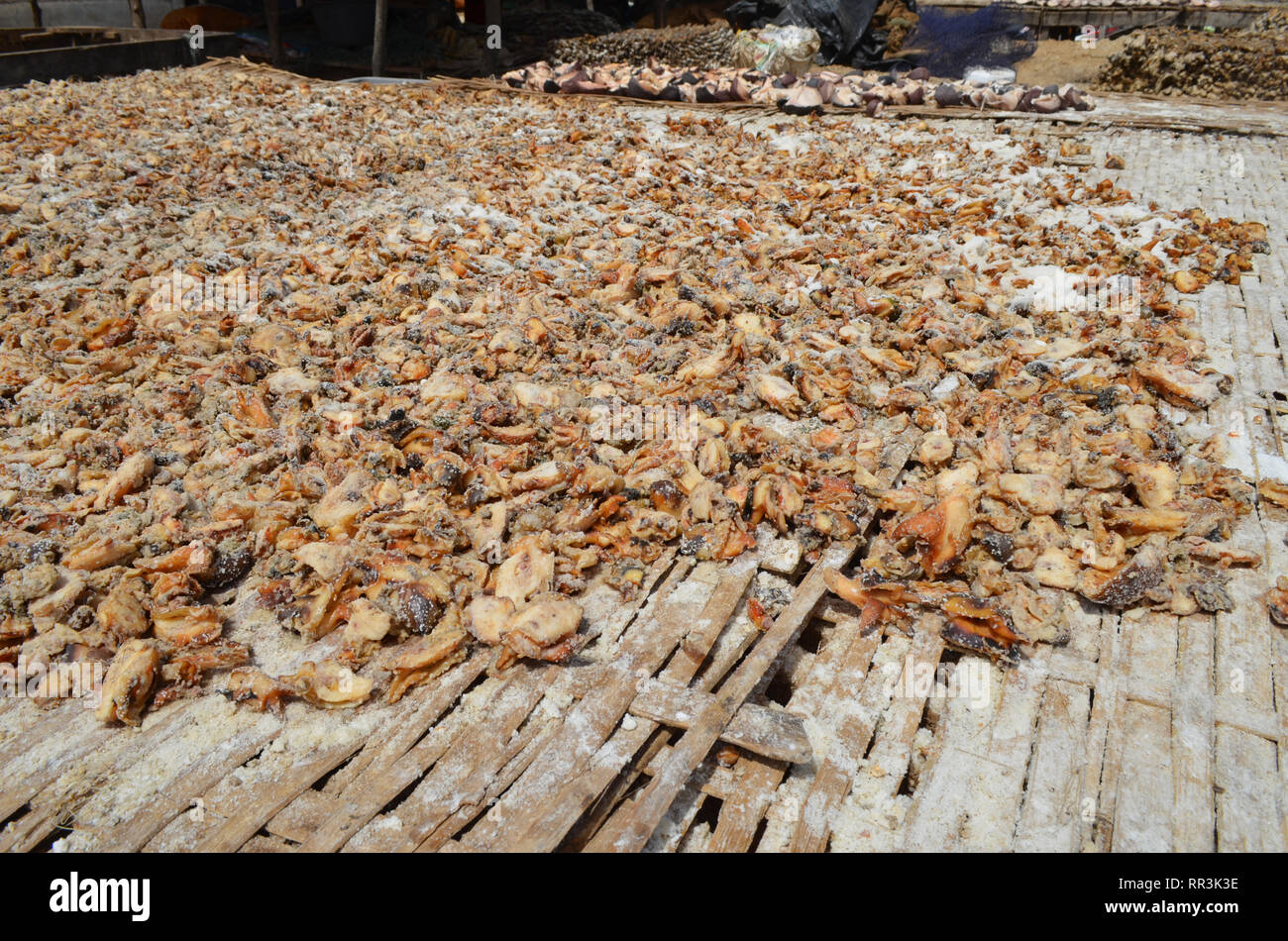 Sun-dried Cymbium (Yet or Yette), favourite traditional seafood in ...