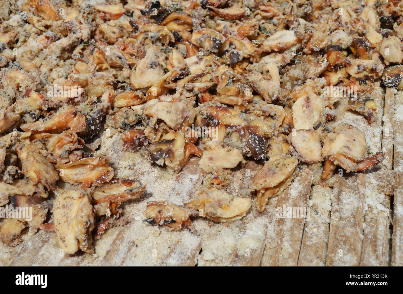 Sun-dried Cymbium (Yet or Yette), favourite traditional seafood in ...