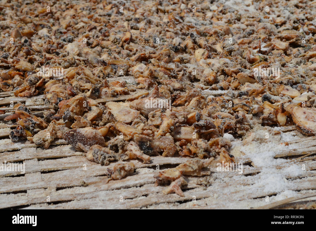 Sun-dried Cymbium (Yet or Yette), favourite traditional seafood in ...