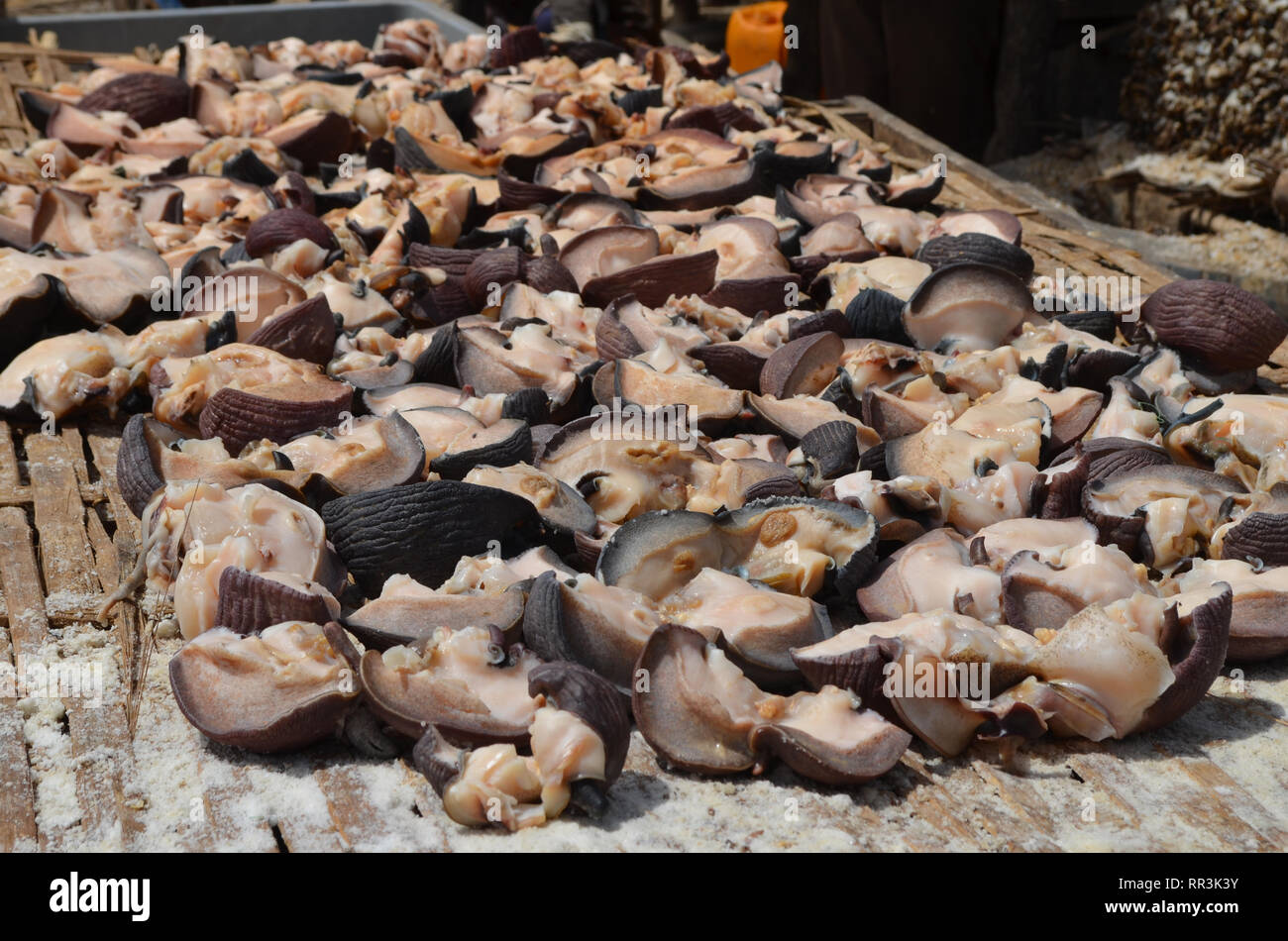 Sun-dried Cymbium (Yet or Yette), favourite traditional seafood in ...