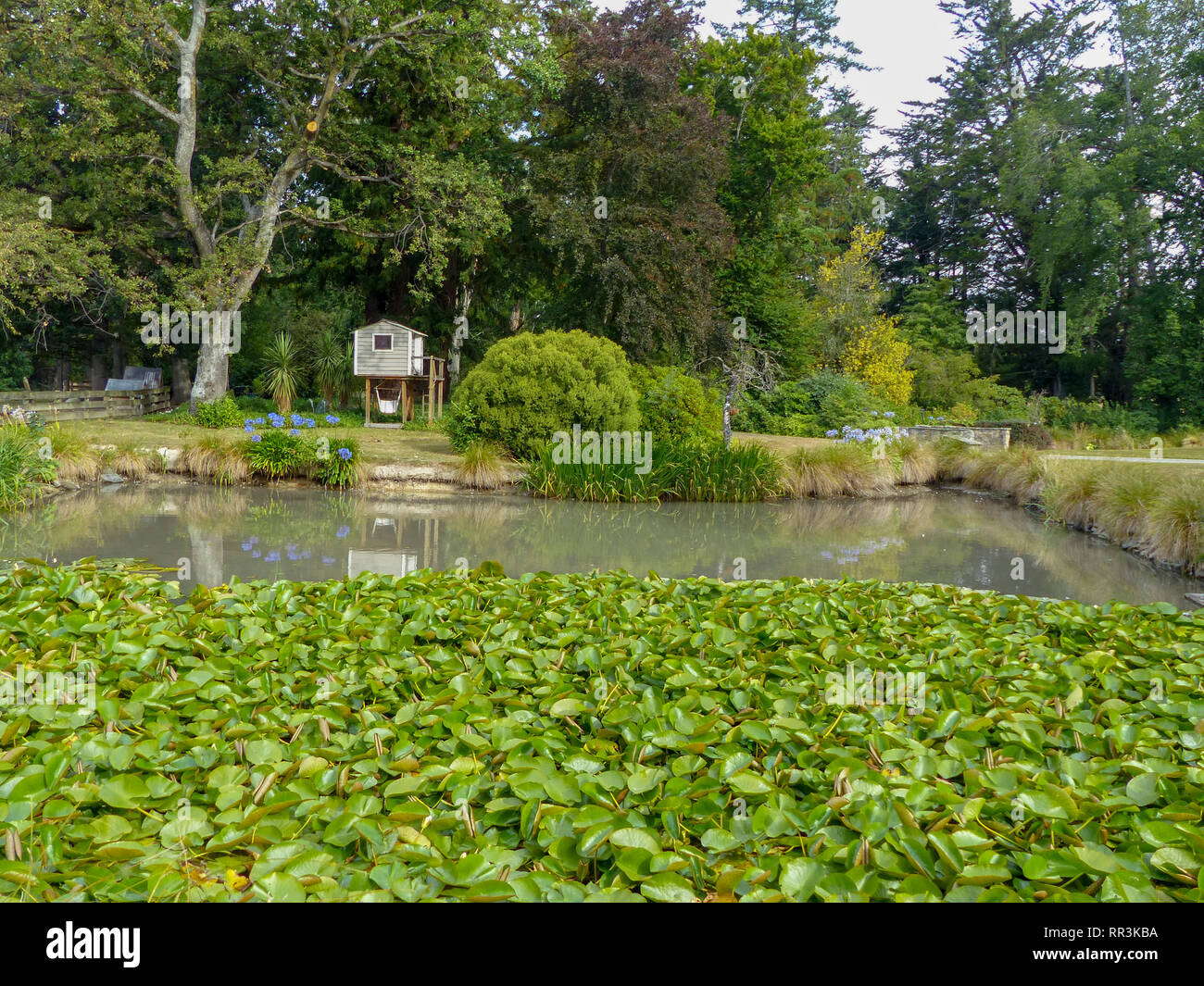 water pond and bench in a remote farm, South Island, New Zealand Stock ...
