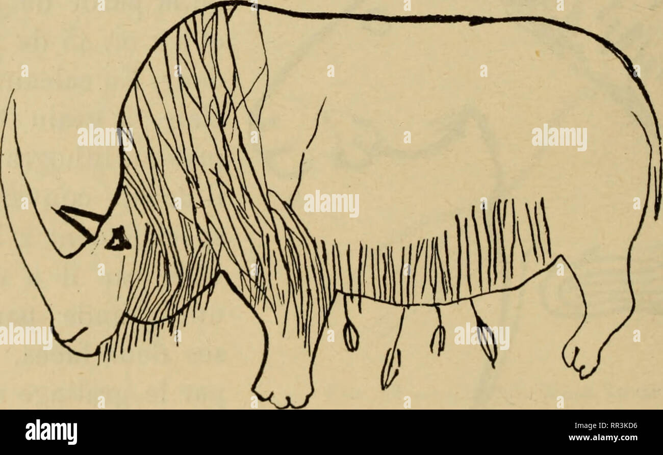 Gravure sur burin hi-res stock photography and images - Alamy