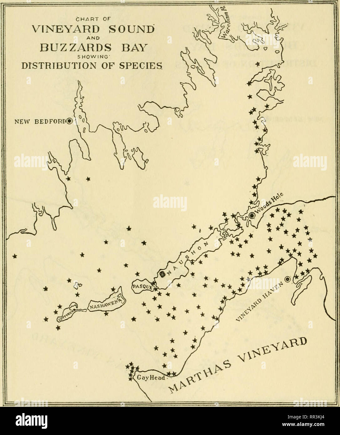 Marine algae that resemble plants hi-res stock photography and images ...
