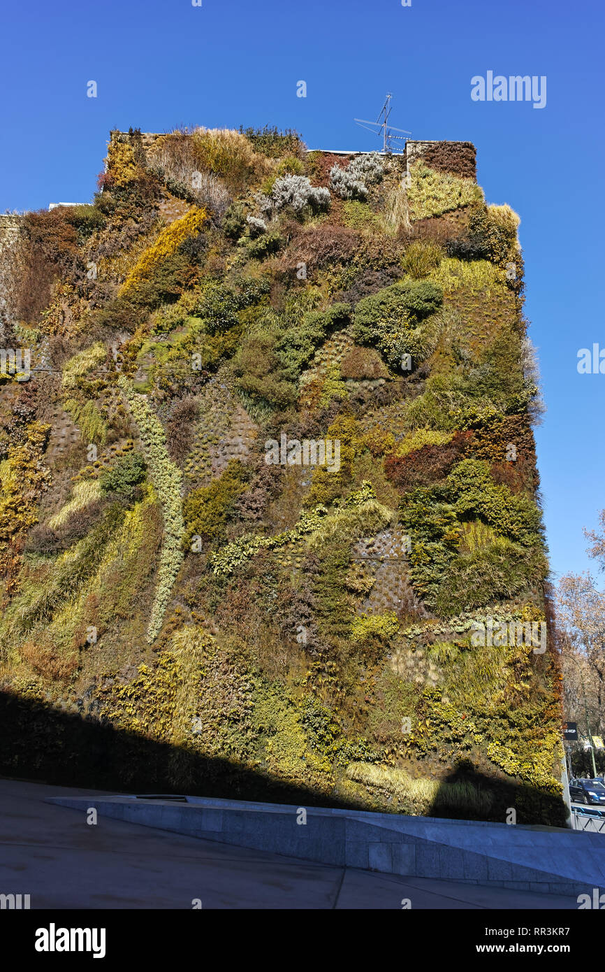 MADRID, SPAIN - JANUARY 22, 2018: Vertical garden wall and CaixaForum ...