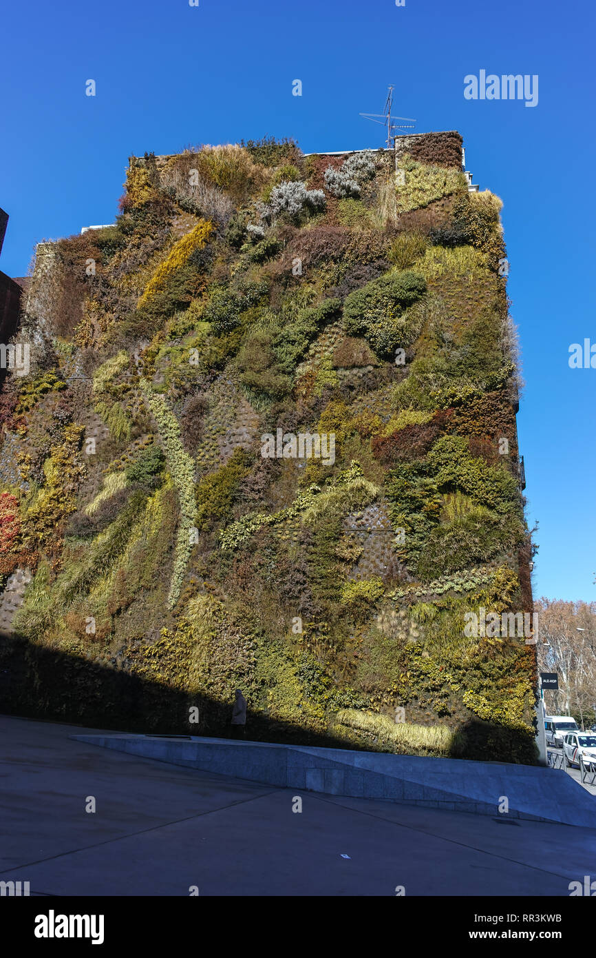 MADRID, SPAIN - JANUARY 22, 2018: Vertical garden wall and CaixaForum ...
