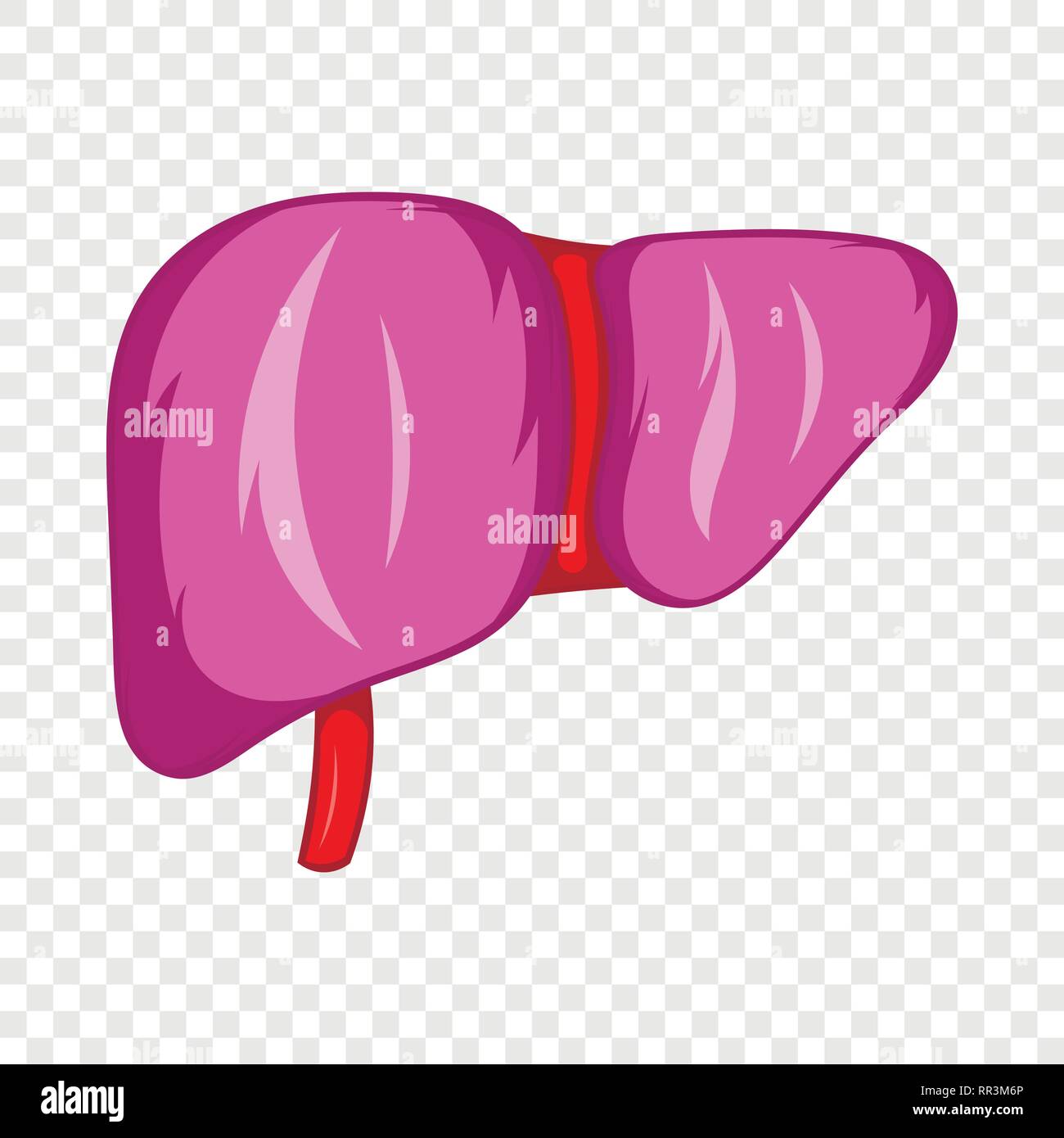 Liver icon, cartoon style Stock Vector Image & Art - Alamy