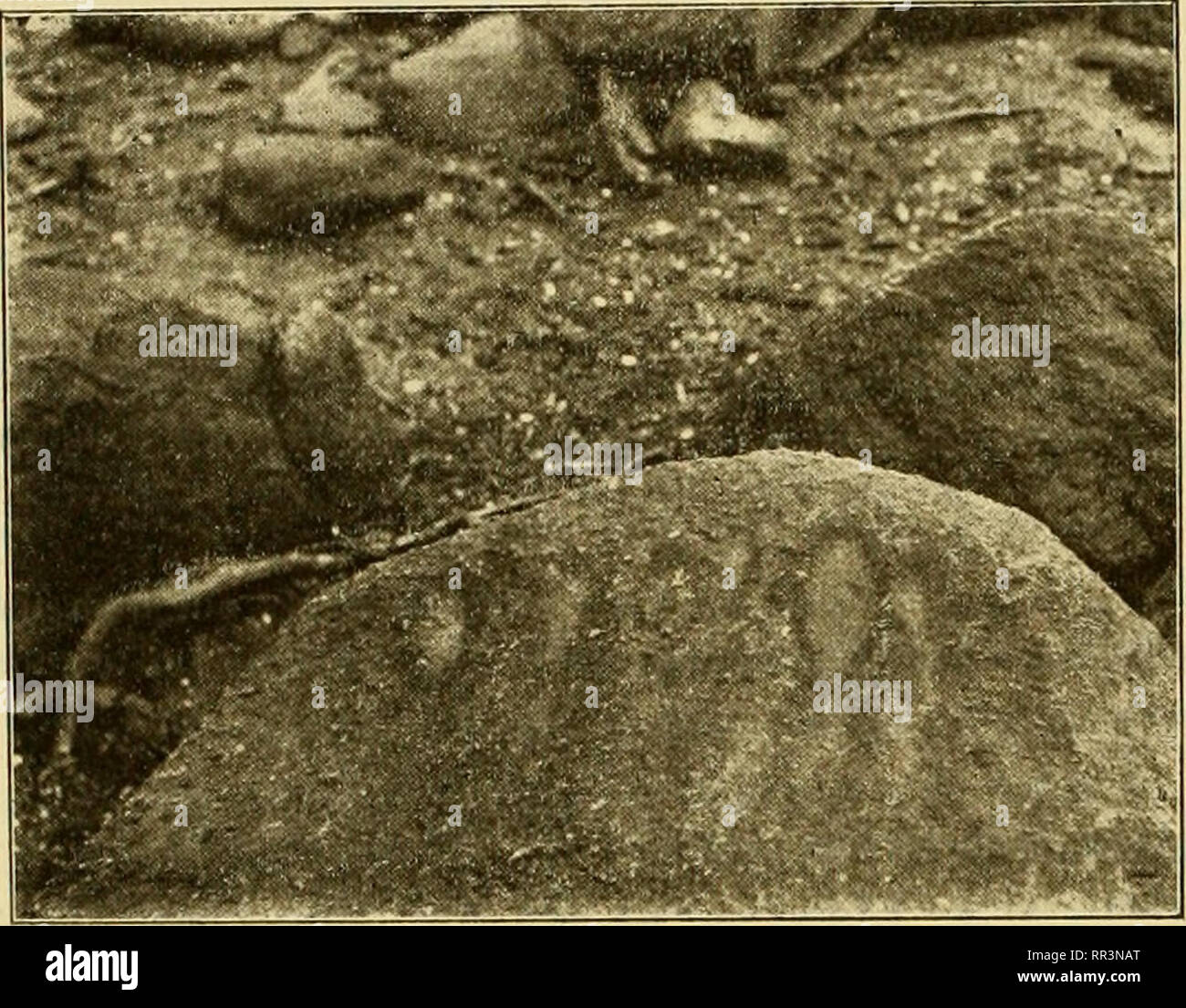 Taie hi-res stock photography and images - Alamy