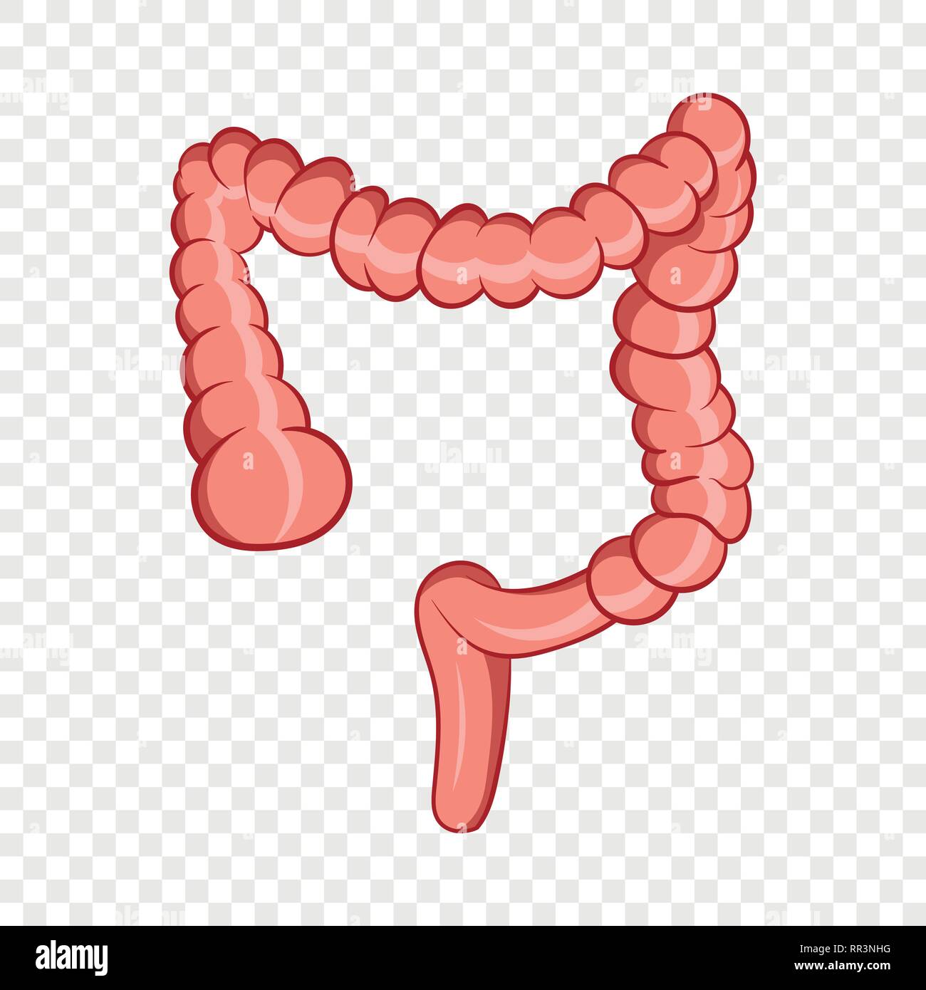 Intestine icon, cartoon style Stock Vector Image & Art - Alamy