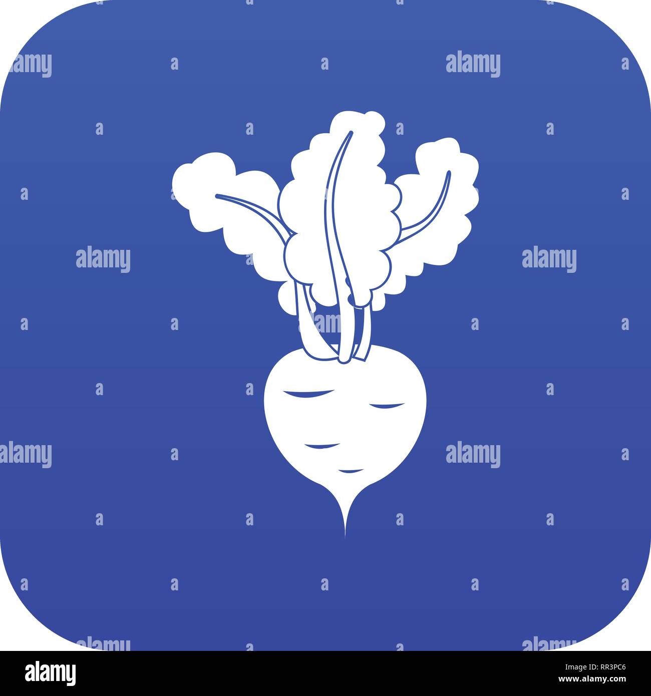 Fresh beetroot icon digital blue Stock Vector Image & Art - Alamy