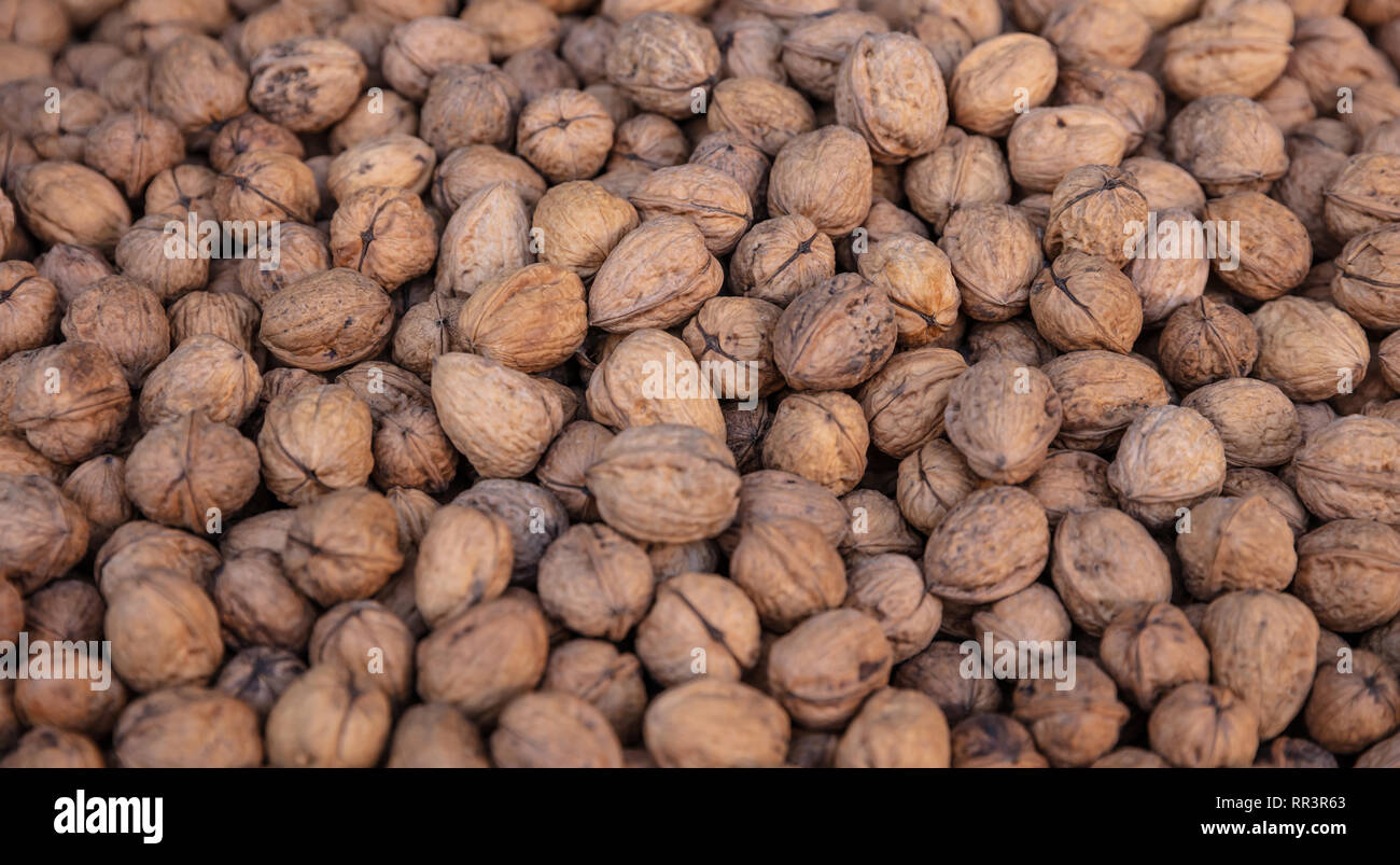 Walnuts harvest. Whole walnuts with shell background, texture. Closeup ...