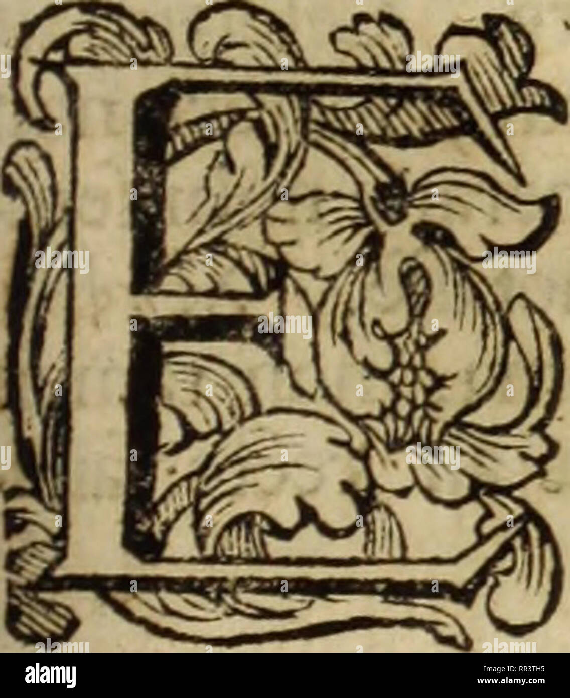 Frigi hi-res stock photography and images - Alamy