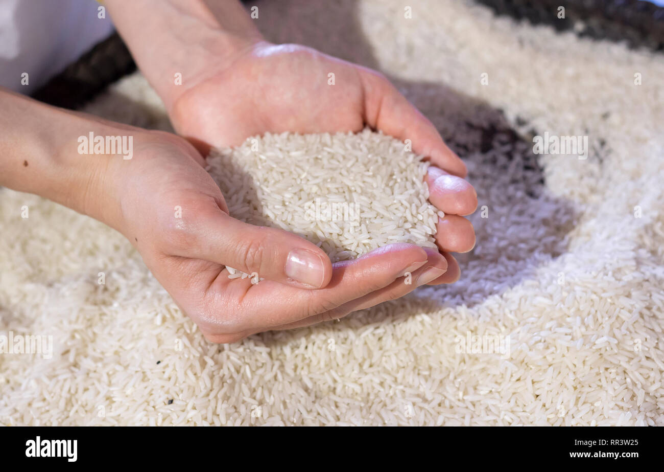 rice in woman hands Stock Photo - Alamy