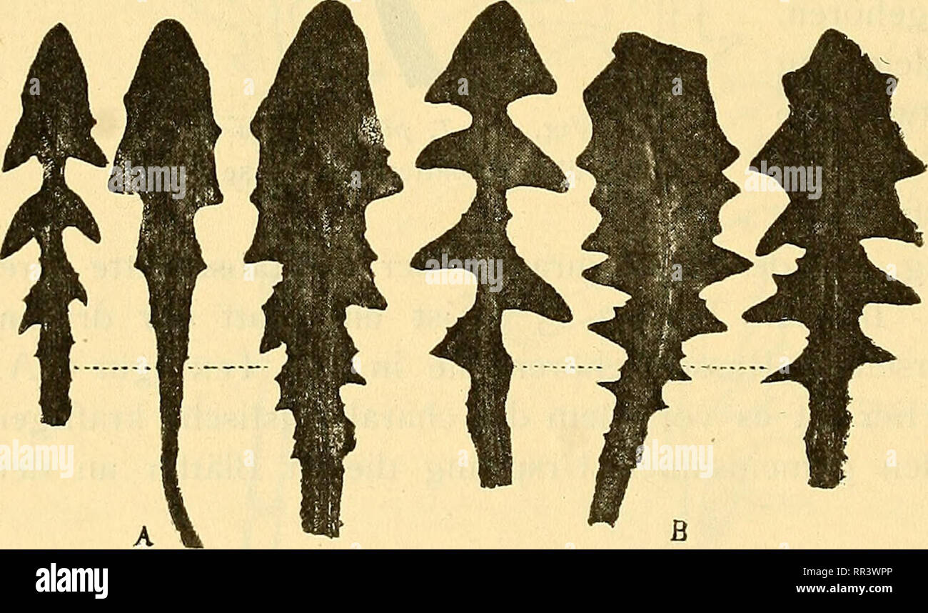 Sie triangular hi-res stock photography and images - Alamy