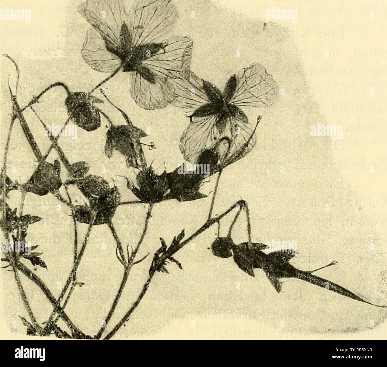 Forma e colore hi-res stock photography and images - Alamy