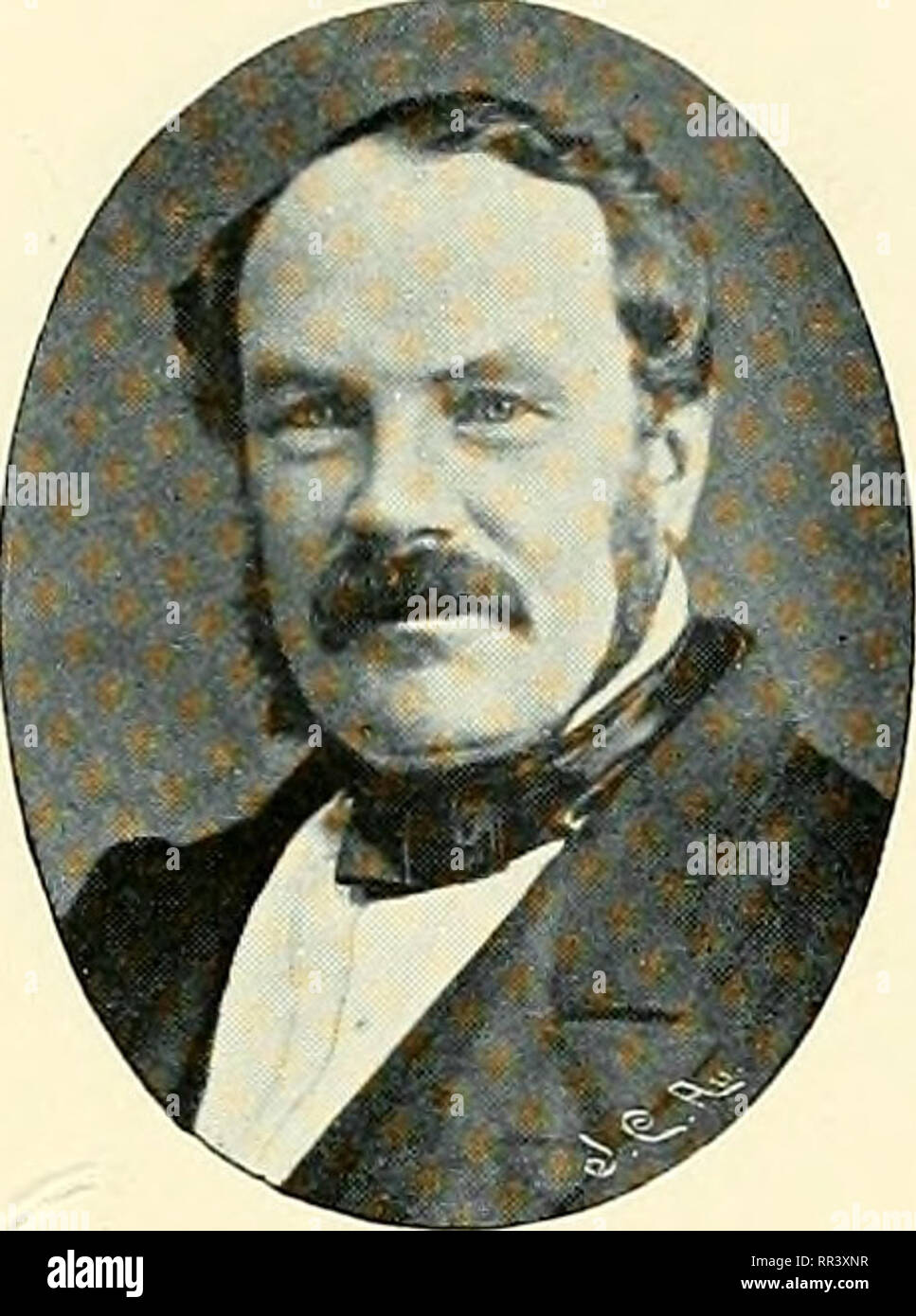 Nils johan andersson hi-res stock photography and images - Alamy