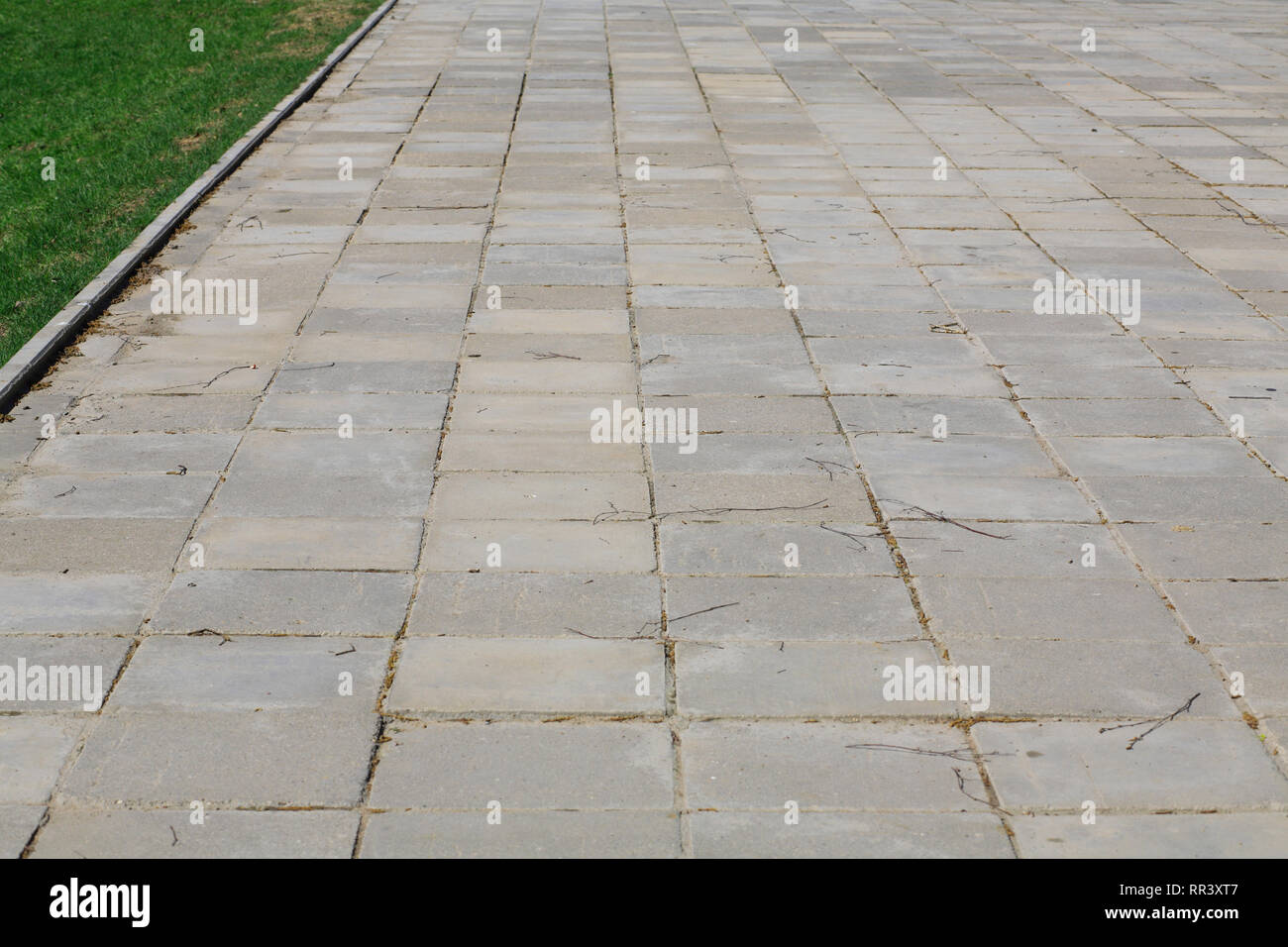 block road in park at spring Stock Photo - Alamy