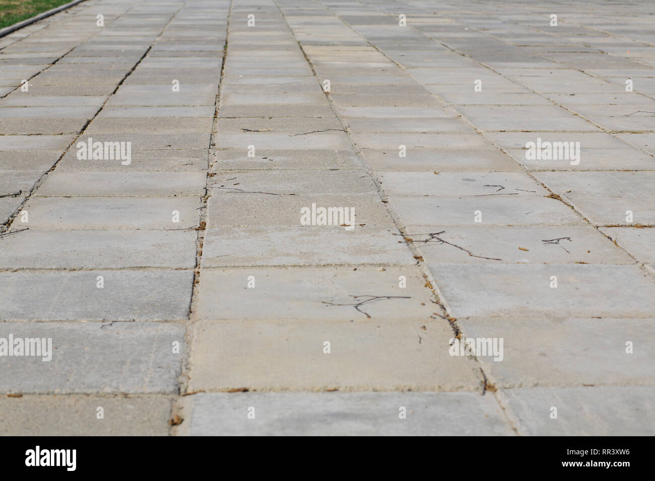 block road in park at spring Stock Photo - Alamy