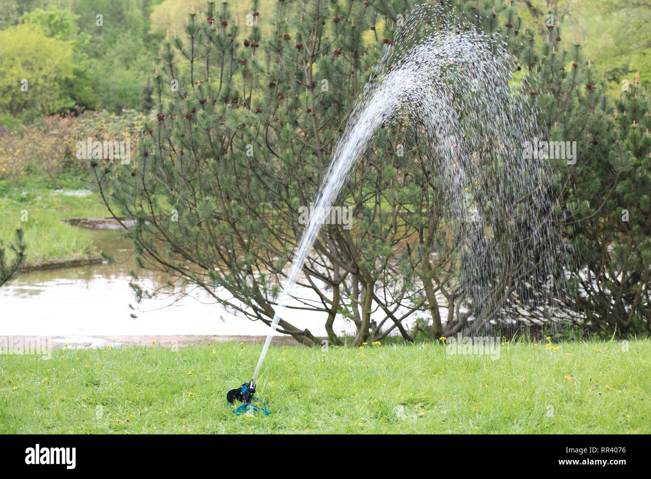 sprinkler in japan garden Stock Photo - Alamy