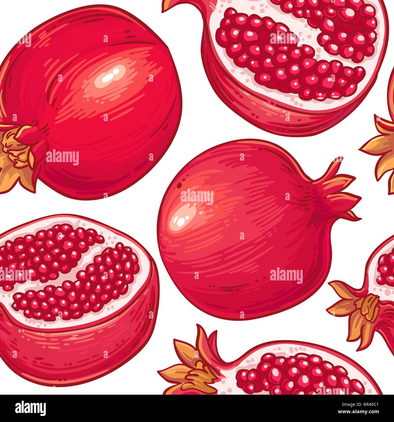 pomegranate vector pattern on white background Stock Vector Image & Art ...