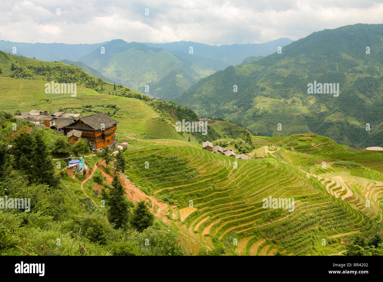 Longsheng rice terraces landscape in China Stock Photo - Alamy