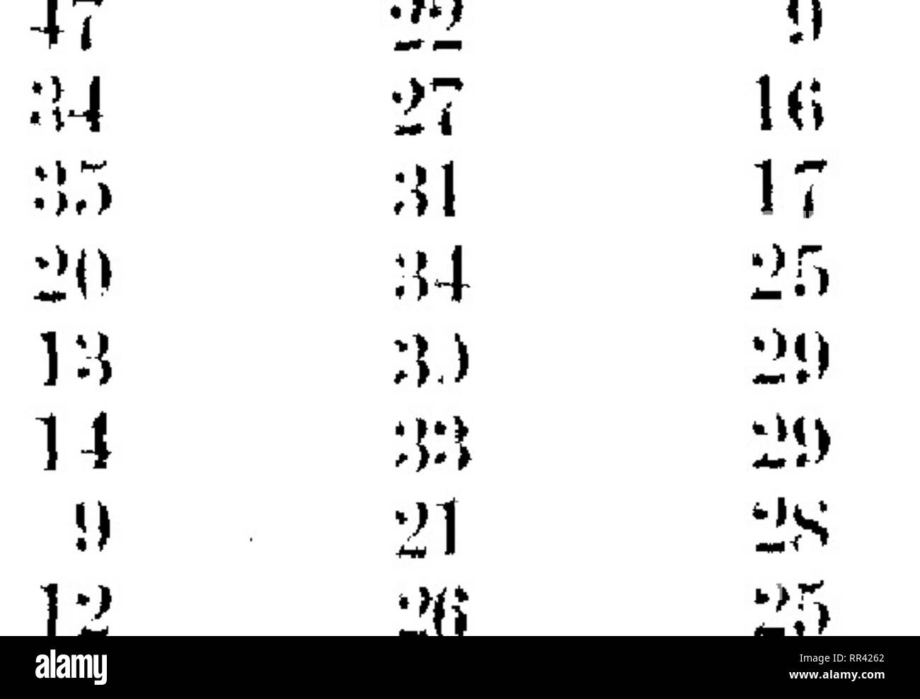 Polynesian Numbers