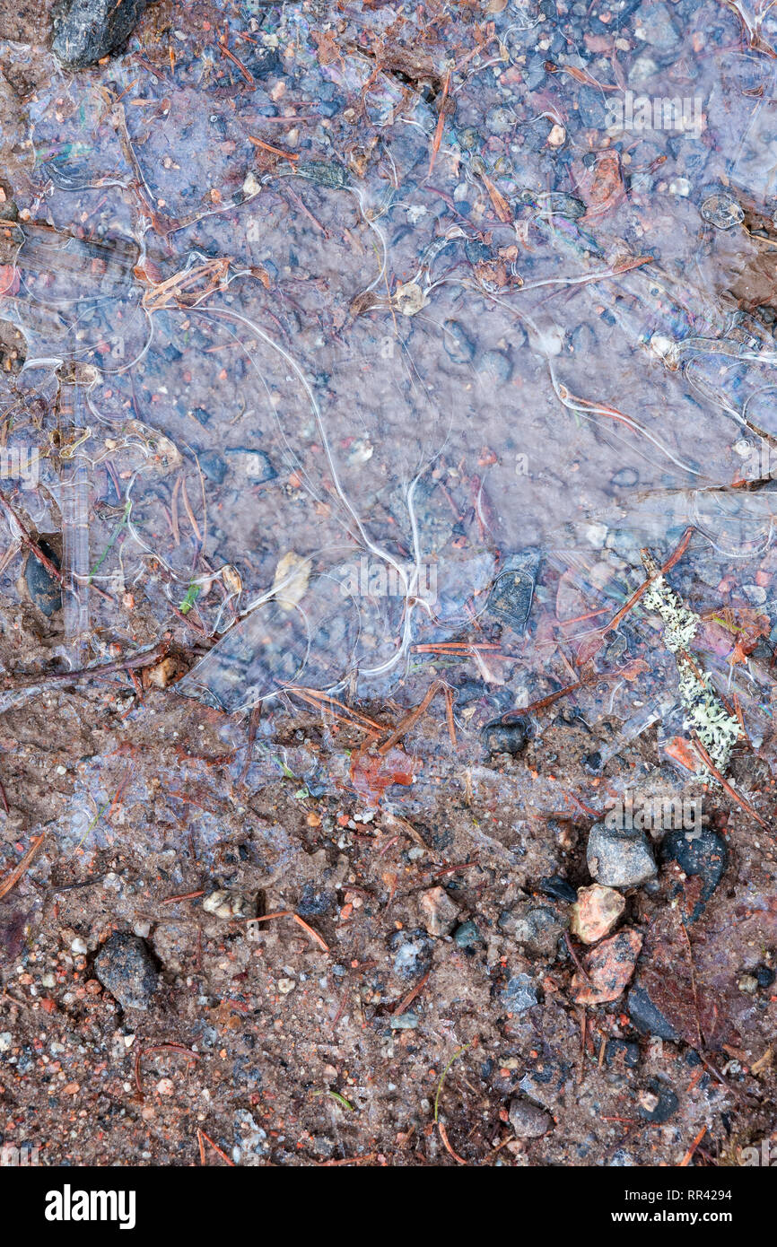 Frozen puddle close-up texture Stock Photo - Alamy