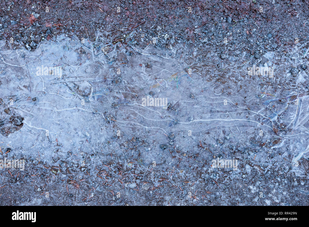 Frozen puddle close-up texture Stock Photo - Alamy