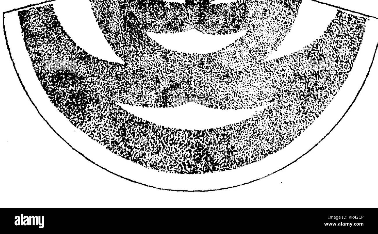 Queen bernice Black and White Stock Photos & Images - Alamy