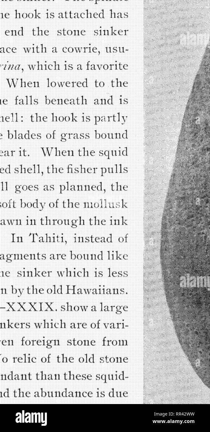 Flensing knives hi-res stock photography and images - Alamy