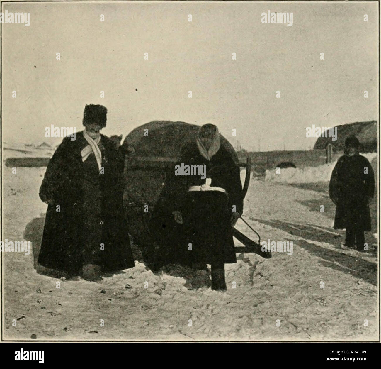 Festered hi-res stock photography and images - Alamy