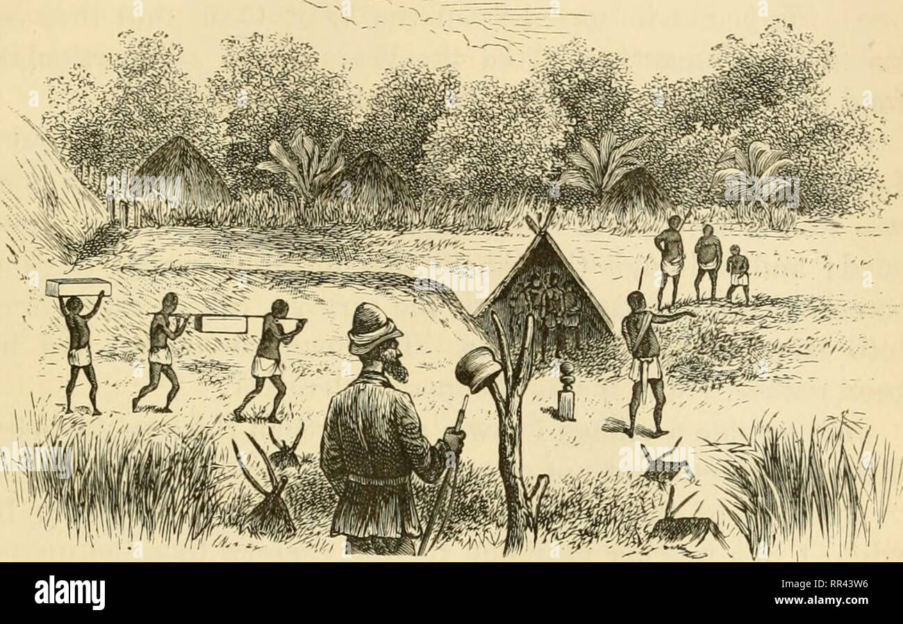 Man Eating Tree In Africa