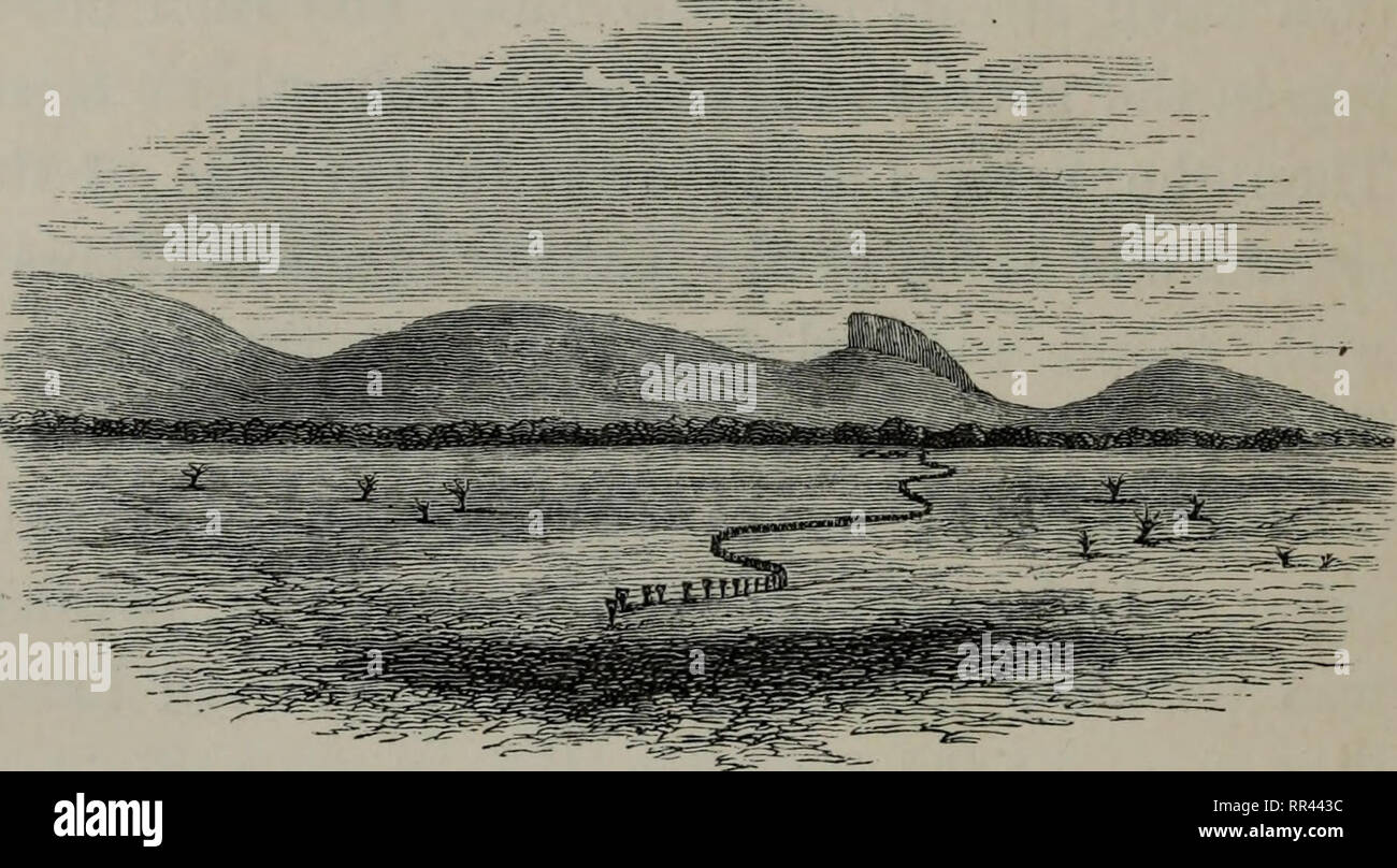 Captured slaves in africa hi-res stock photography and images - Alamy