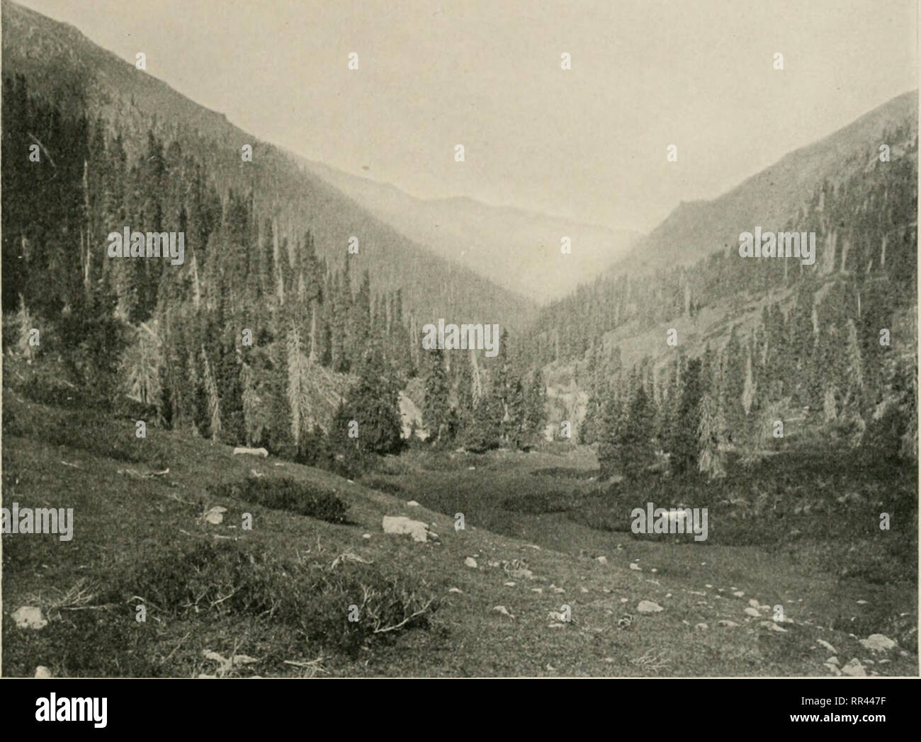 . Across the roof of the world; a record of sport and travel through ...