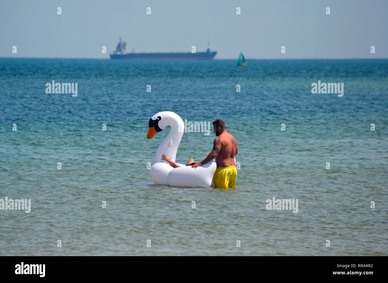 Rubber swan hi-res stock photography and images - Alamy