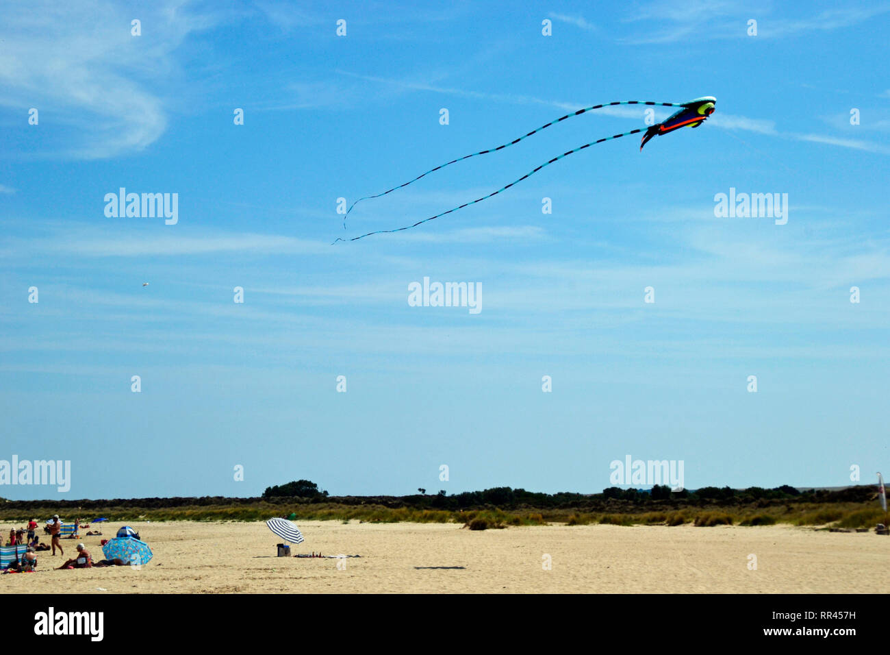 Unusual kite hi-res stock photography and images - Alamy