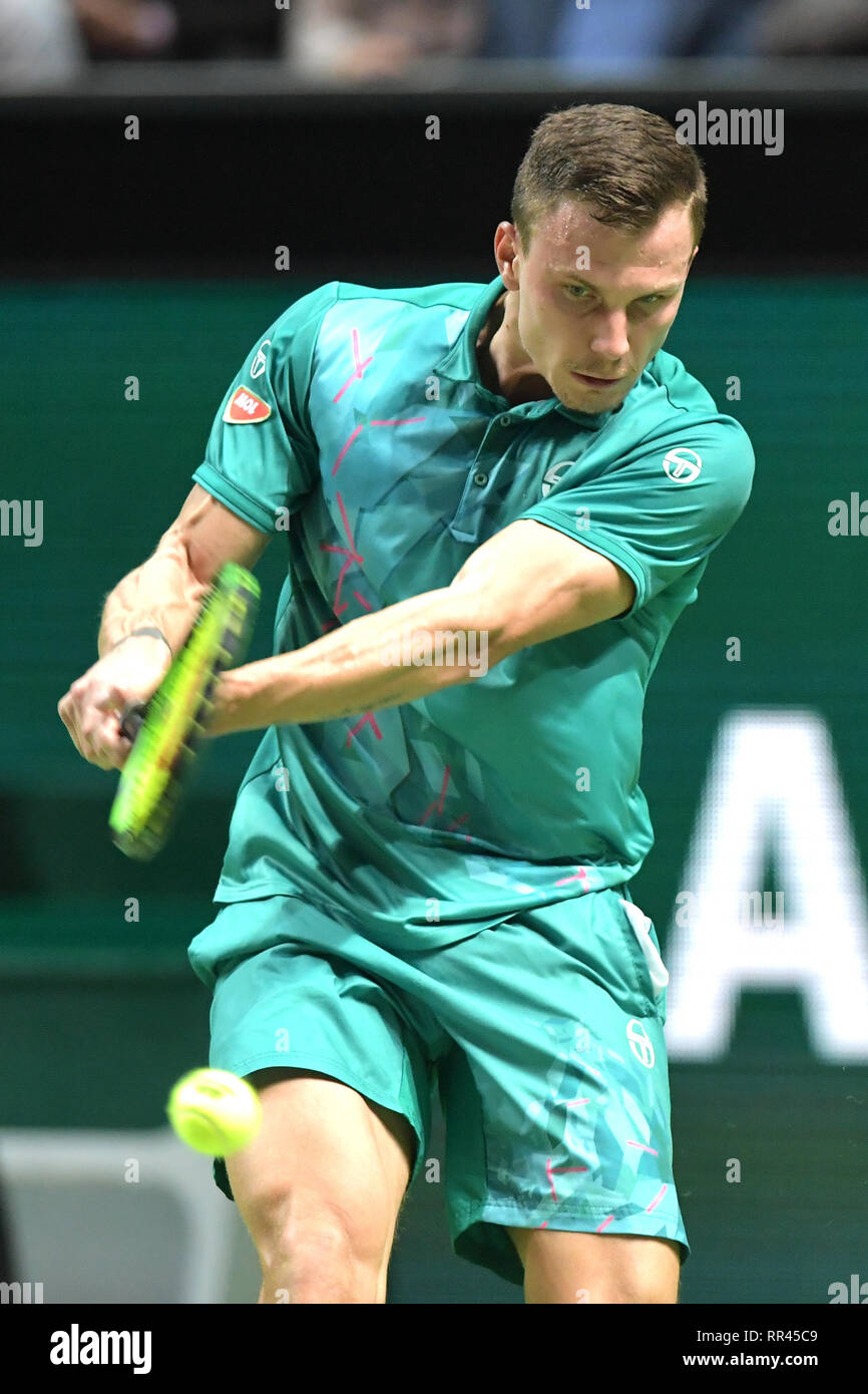 Marton fucsovics hi-res stock photography and images - Alamy