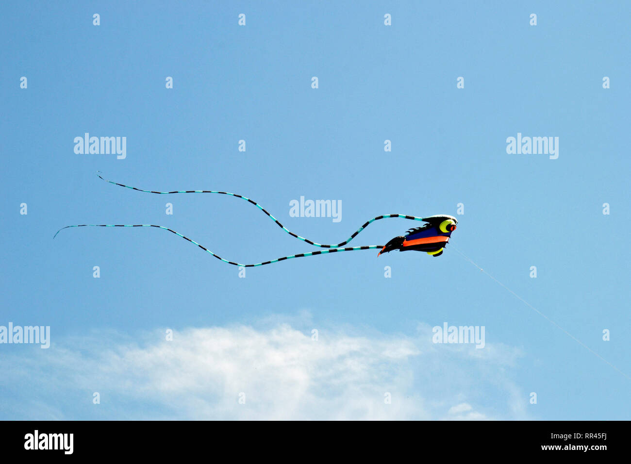 Unusual kite hi-res stock photography and images - Alamy