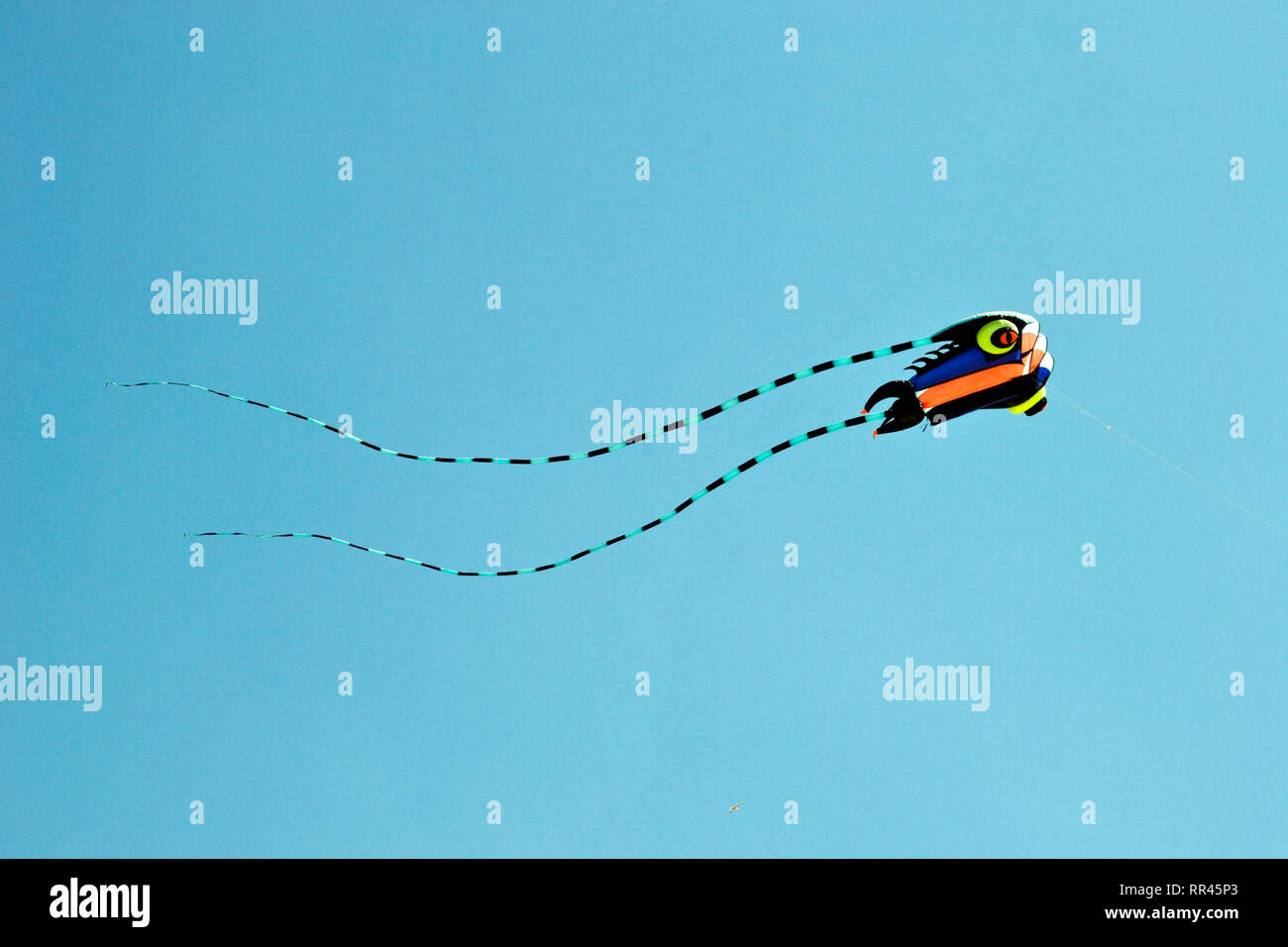 Unusual kite hi-res stock photography and images - Alamy
