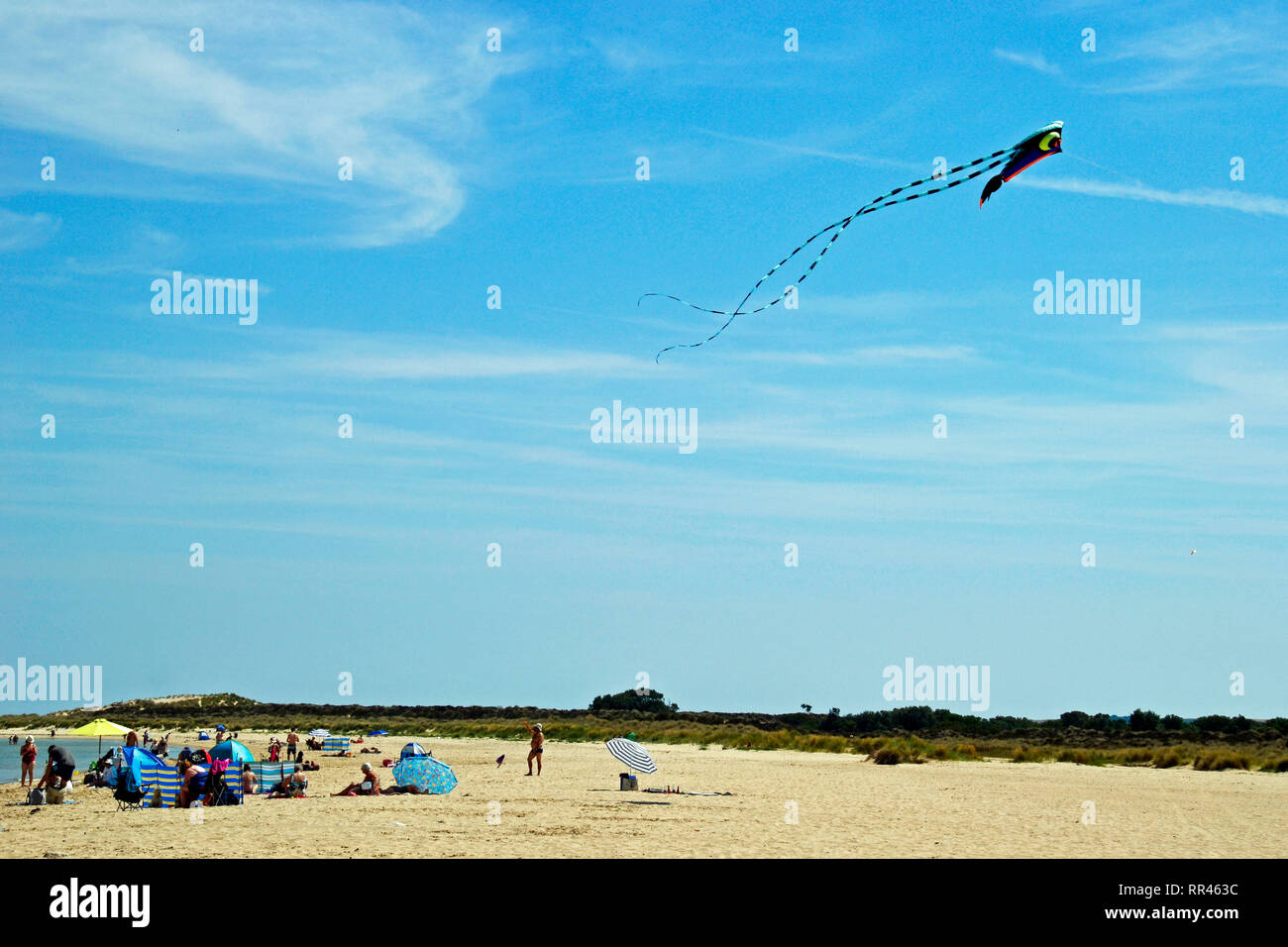Unusual kite hi-res stock photography and images - Alamy
