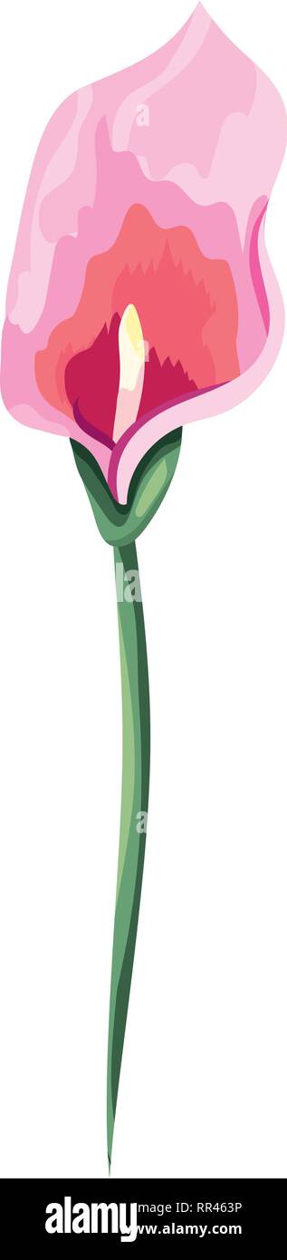 beautiful flower cartoon Stock Vector Image & Art - Alamy