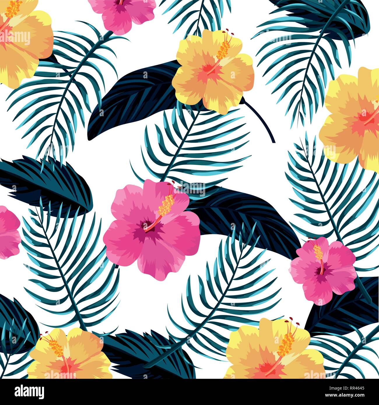 beautiful tropical flowers cartoon Stock Vector Image & Art - Alamy