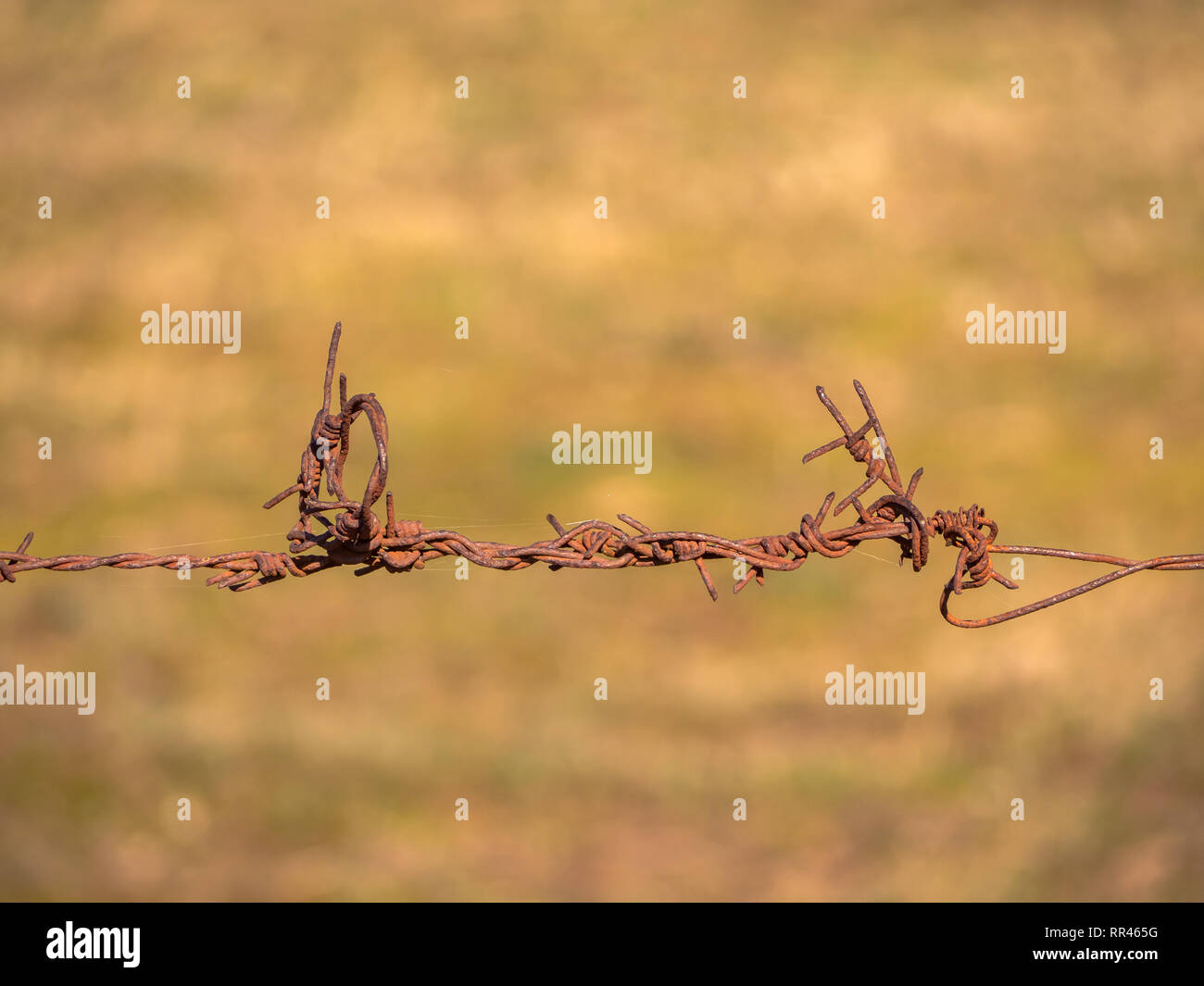 Abstract background. A piece of rusty barbed wire Stock Photo - Alamy