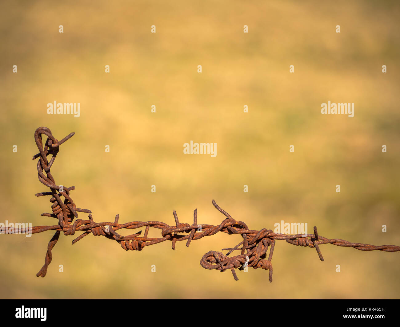 Abstract background. A piece of rusty barbed wire Stock Photo - Alamy